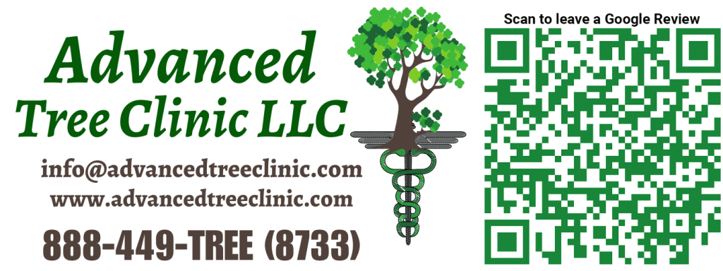 Tree Care Services | Advanced Tree Clinic | Odessa TX